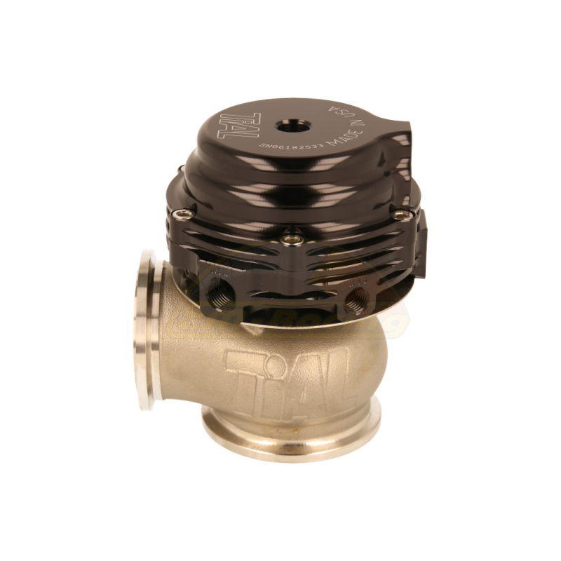 TiAL MV-S Wastegate 38mm MVS schwarz kaufen » EM-Racing